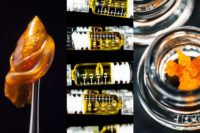 Distillate vs. Liquid Shatter vs. Live Resin: What’s the Difference? ⋆ ...